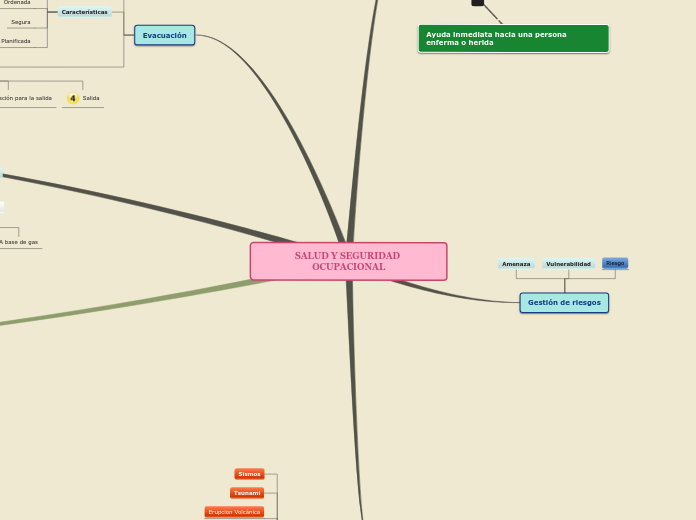 SALUD Y SEGURIDAD OCUPACIONAL - Mind Map